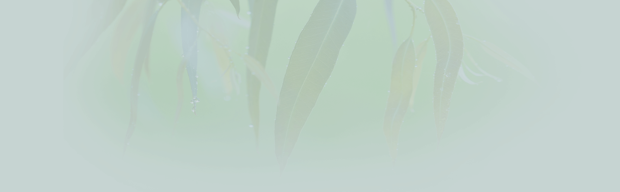 ALICK WILLIAM DOCKRILL